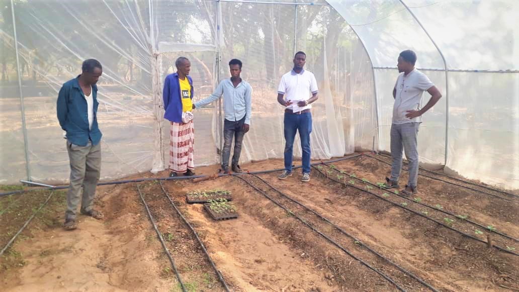 Geed-deeble Botanic Garden – Barwaaqo Organization